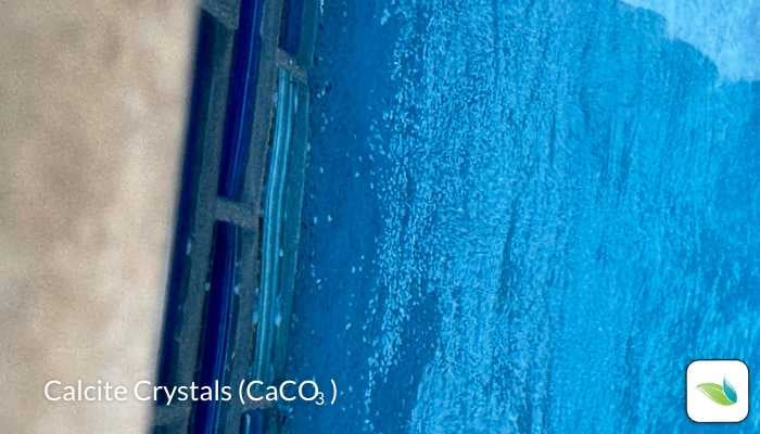 Calcium: The Most Misunderstood Chemistry in the Pool Business