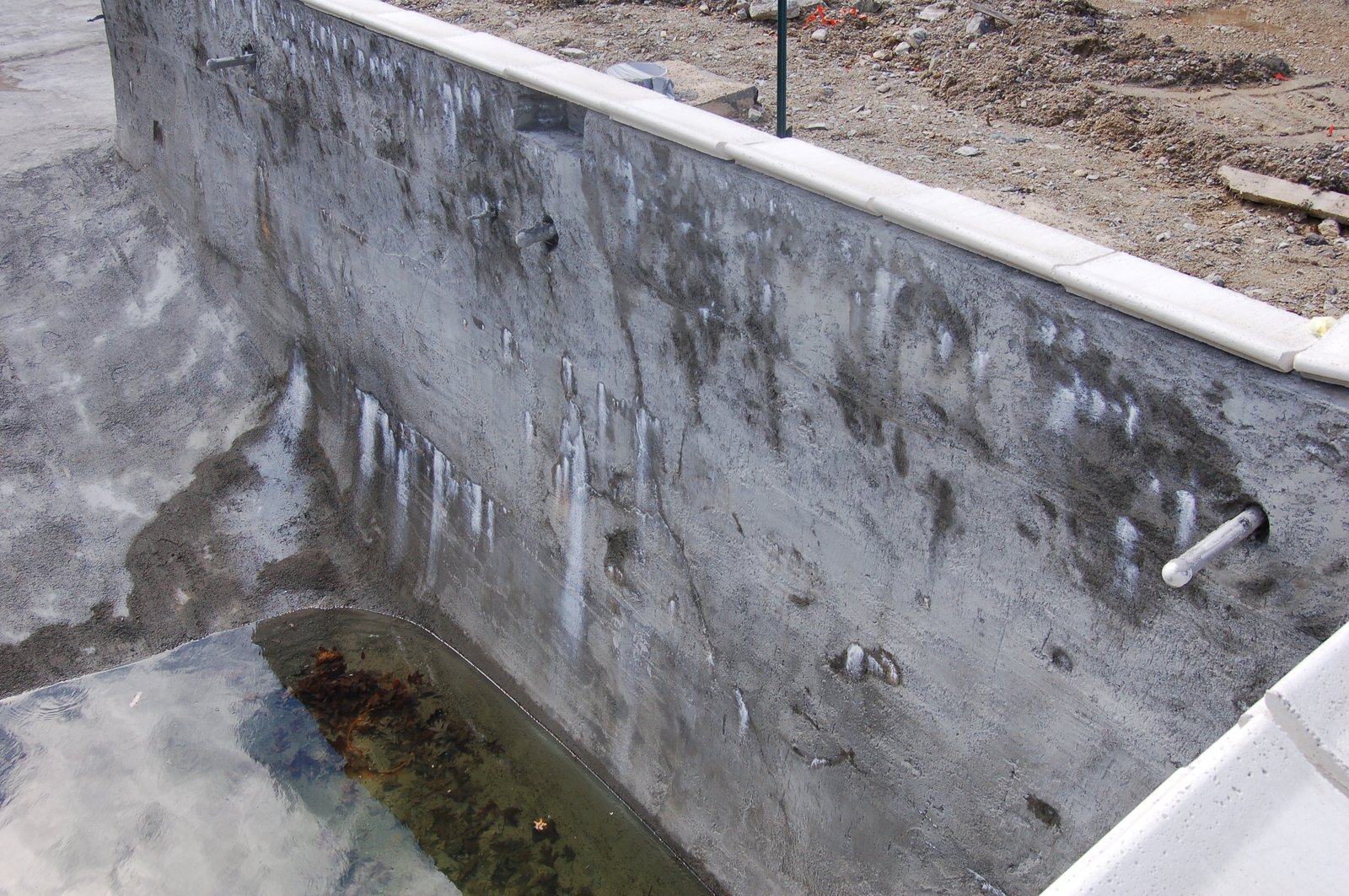 Weepers, Efflorescence, and other Concrete Pool Shell Problems