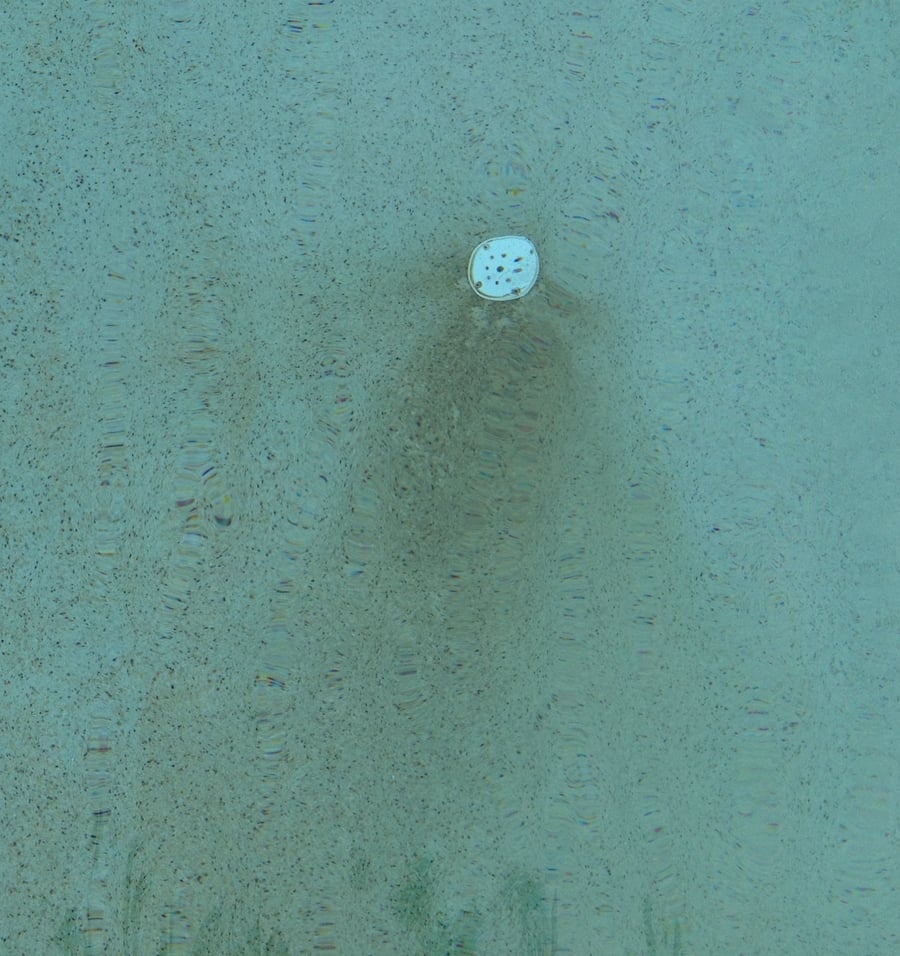 How to Use an Acid Feeder on a Swimming Pool