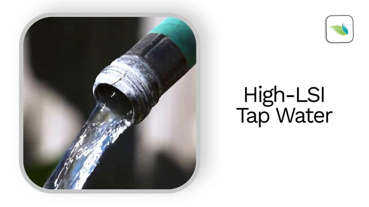How to manage scale-forming or hard tap water