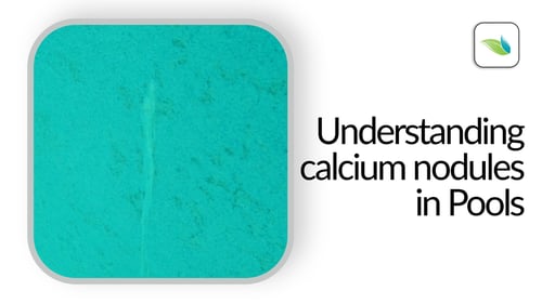 Understanding Calcium Nodules in Pools