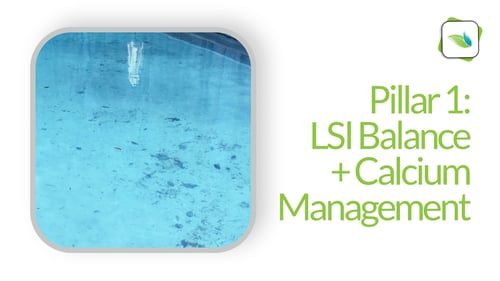 LSI Balance and Calcium Management | Pillar 1