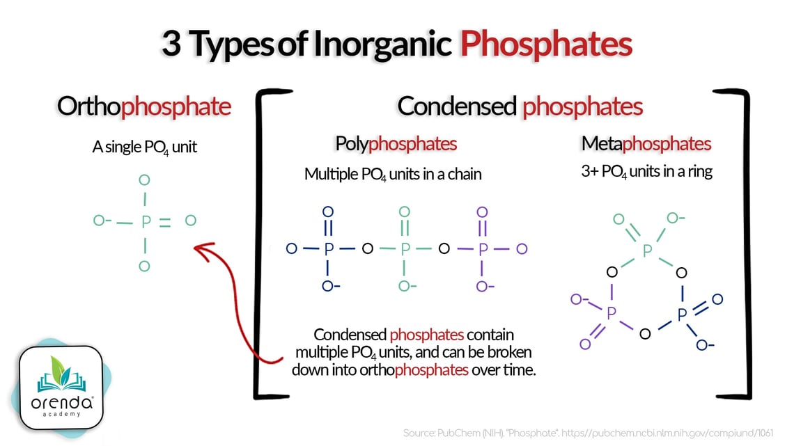 Different Types of Phosphates