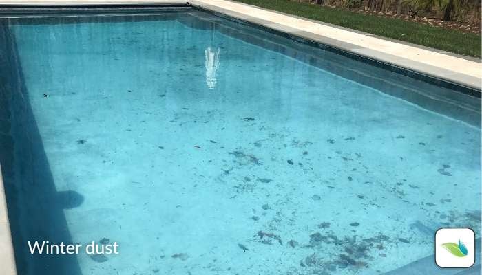Types of Calcium Dust in Pools