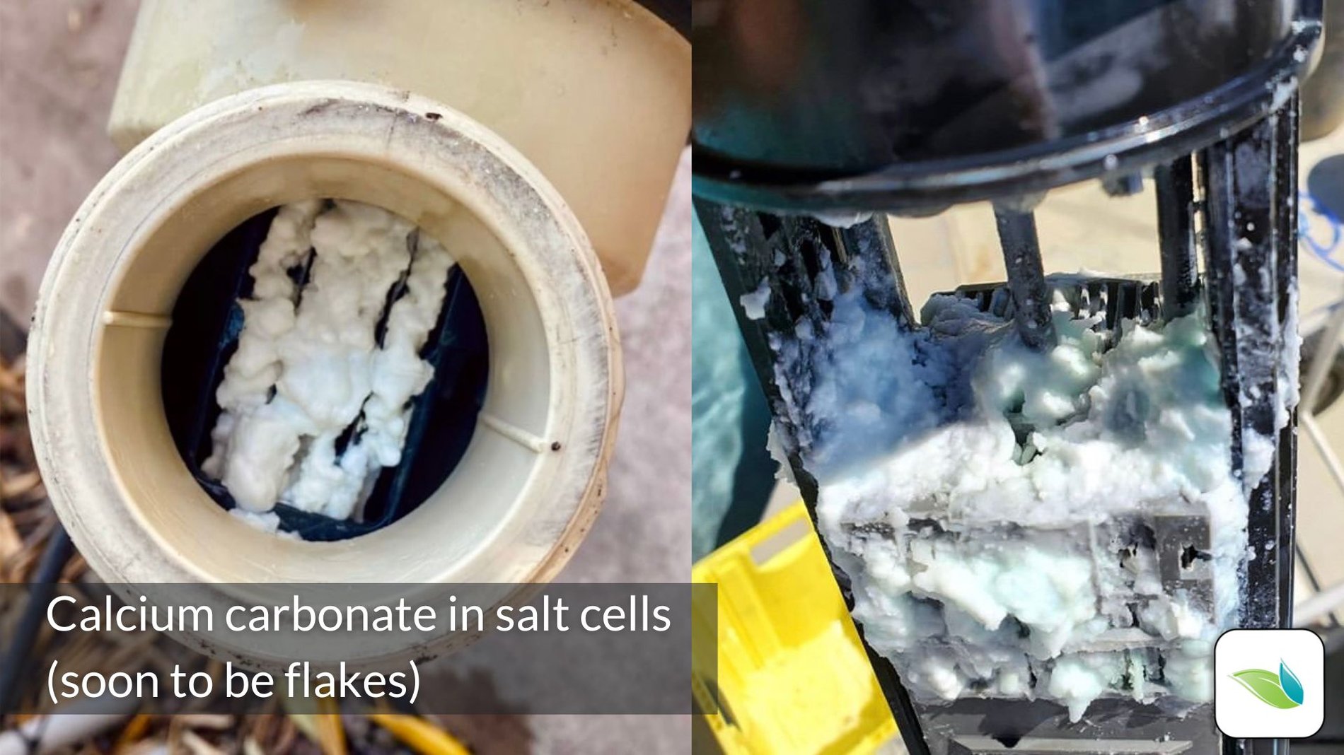 Calcium Flakes in Saltwater Pools