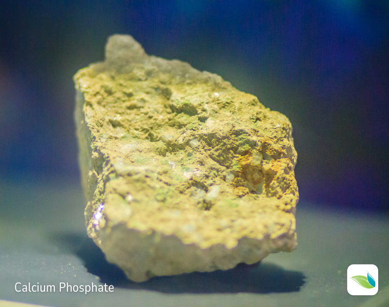 Understanding Calcium Phosphate Scale