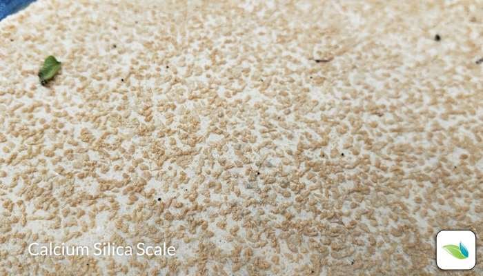 Understanding Calcium Carbonate Scale