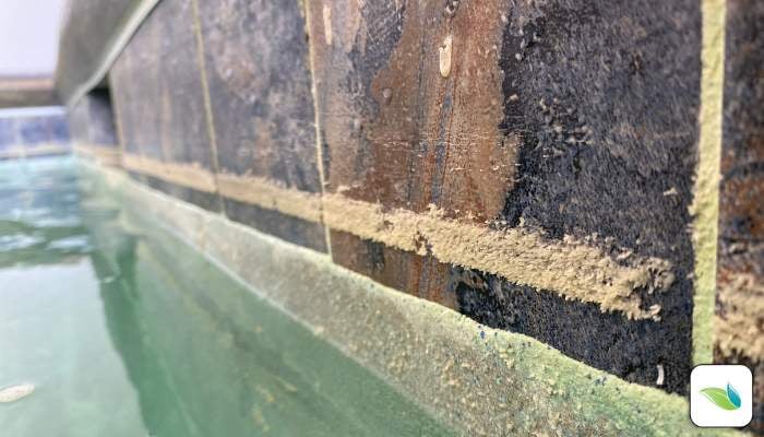 Understanding Calcium Carbonate Scale