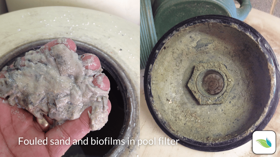Replacing sand in pool filters vs. Refurbishing sand with the Orenda ...