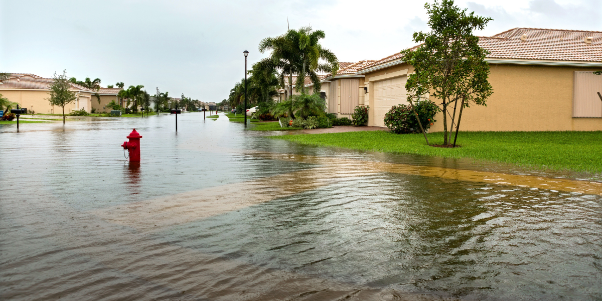 Swimming Pool Recovery after a Hurricane