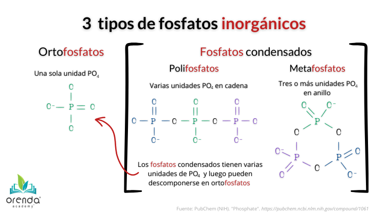 Diferentes tipos de fosfatos