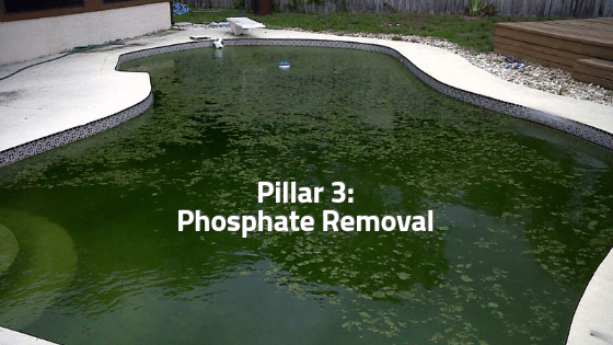 Phosphates, Algae, and Chlorine Demand